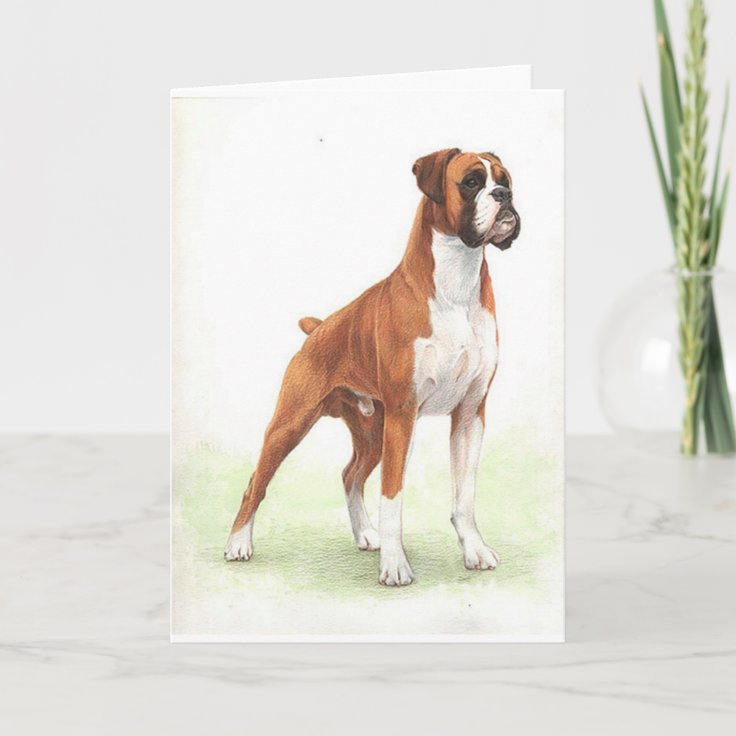 Boxer Dog Portrait Blank Greeting Card | Zazzle