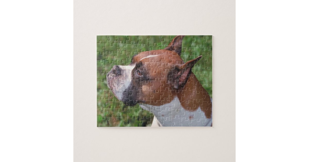Boxer Dog Puzzle | Zazzle