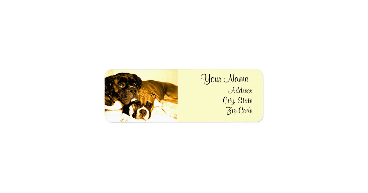 Boxer Dogs Address Labels | Zazzle