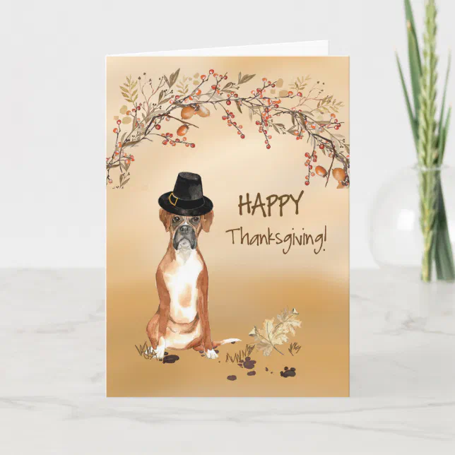 Boxer Funny Pilgrim Hat Thanksgiving Card | Zazzle