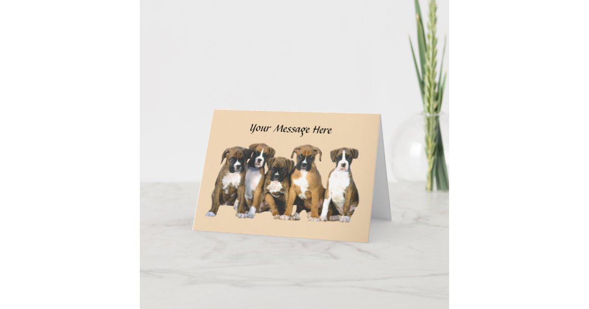 Boxer Greeting Card | Zazzle
