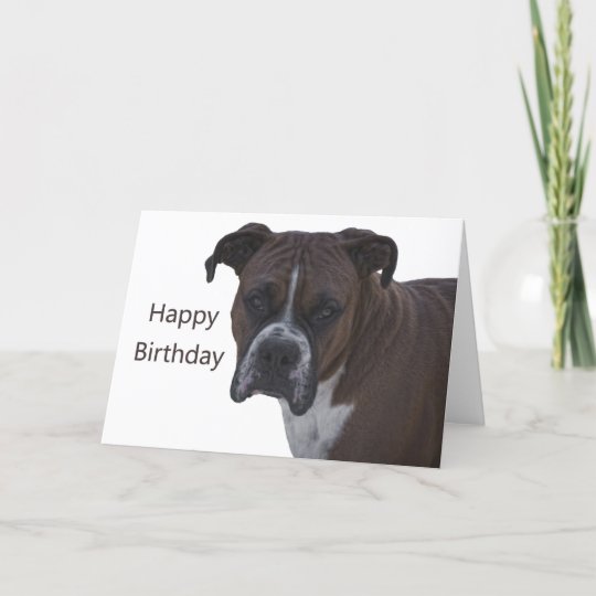 Boxer Happy Birthday Card | Zazzle.com