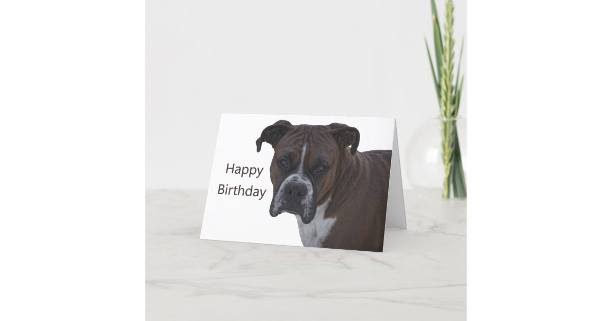 Boxer Happy Birthday Card | Zazzle