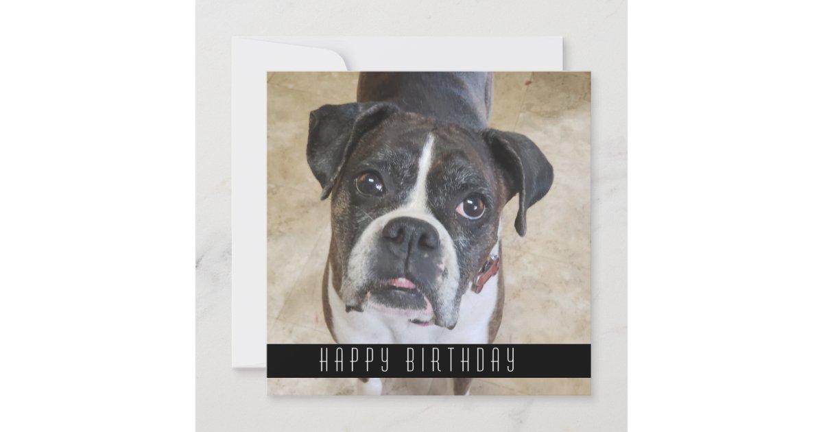 Boxer Happy Birthday From Dog Birthday Card | Zazzle
