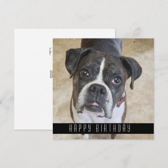 Boxer Happy Birthday From Dog Birthday Card | Zazzle
