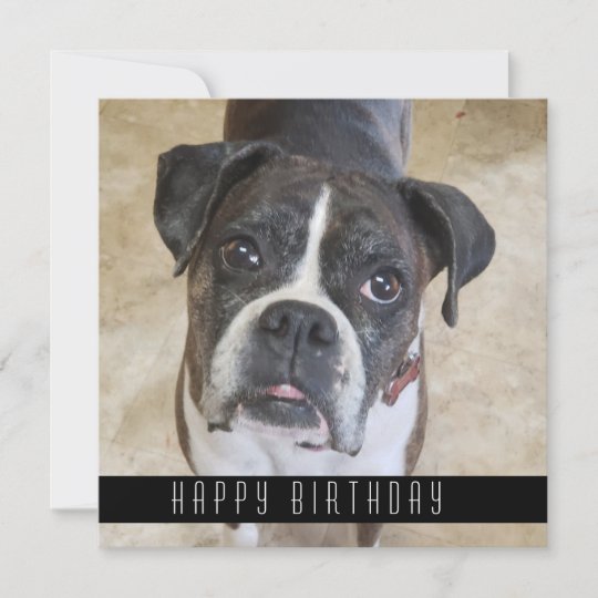 Boxer Happy Birthday From Dog Birthday Card | Zazzle.com