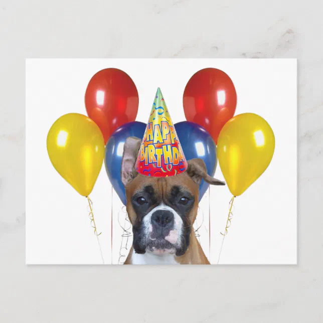 Boxer happy birthday Postcard | Zazzle