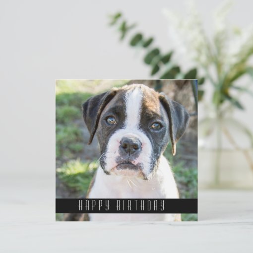 Boxer Happy Birthday Wishes Dog Birthday Card | Zazzle