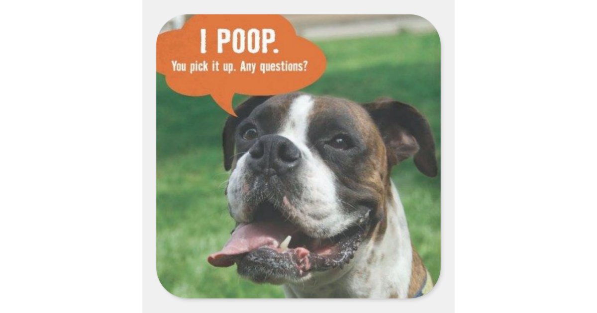 Boxer - I poop Square Sticker | Zazzle