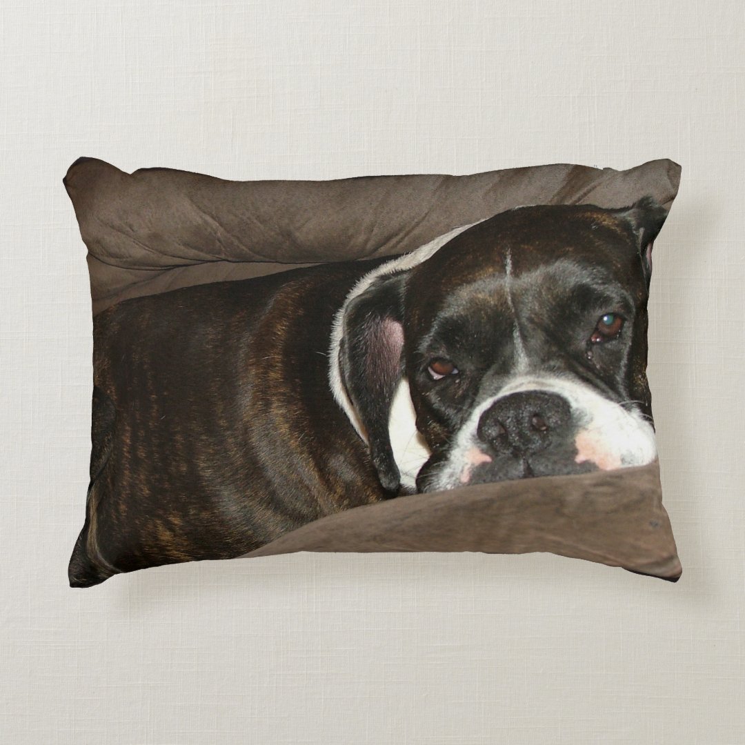 Boxer Pillow | Zazzle