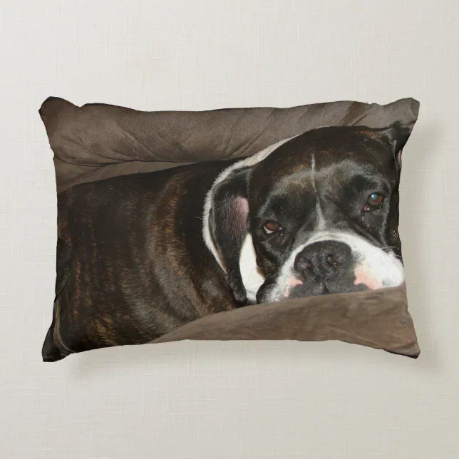 Boxer Pillow | Zazzle