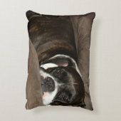 Boxer Pillow | Zazzle