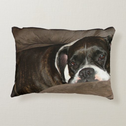 Boxer Pillow | Zazzle