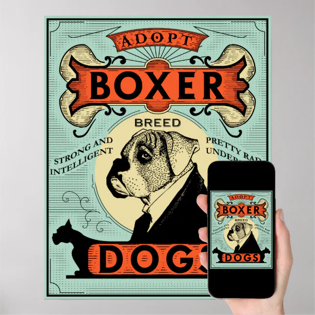 Boxer Poster 1 | Zazzle