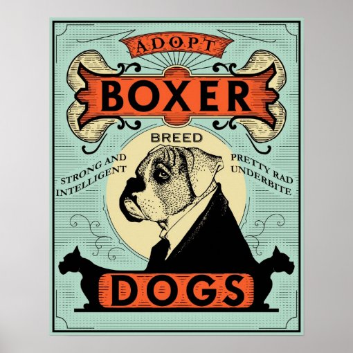 Boxer Poster 1 | Zazzle