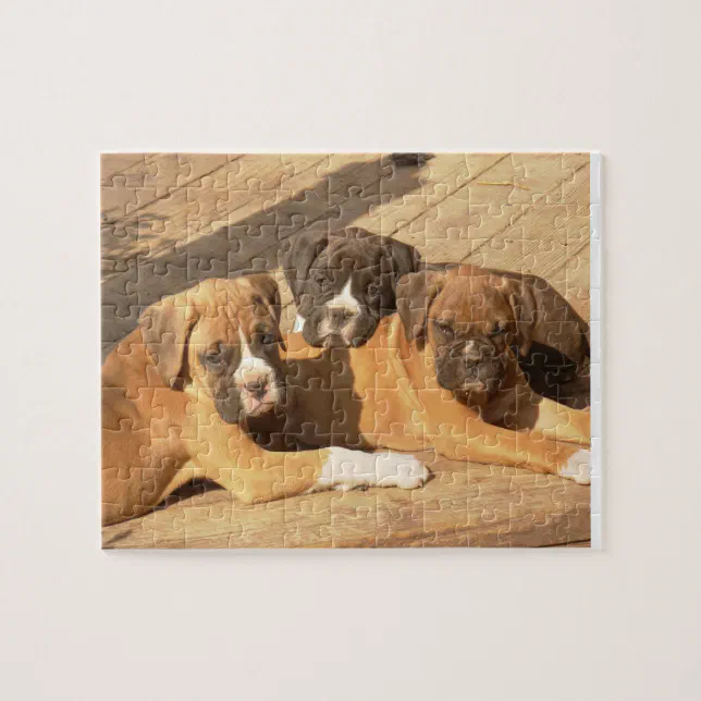 Boxer puppies 8x10 Photo Puzzle with Tin | Zazzle