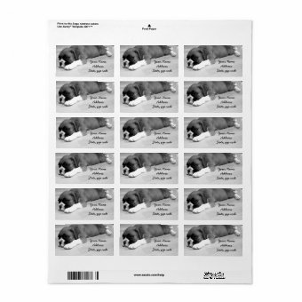 Boxer puppy address labels | Zazzle