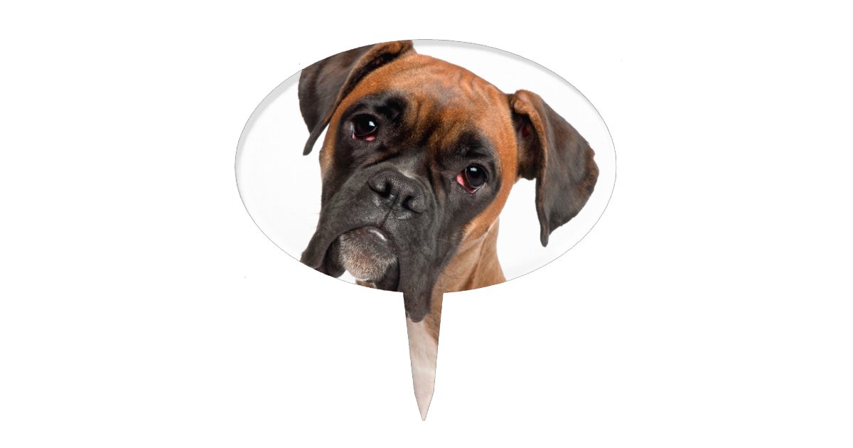 Boxer Puppy Cake Topper | Zazzle