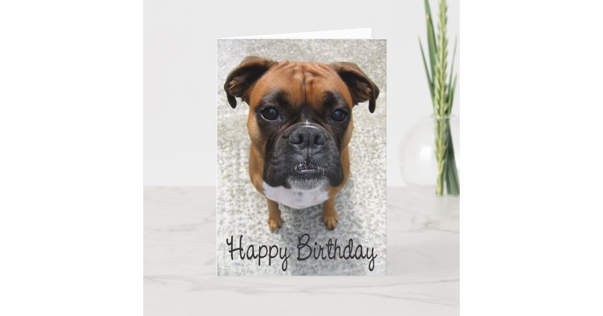 Boxer Puppy Dog Happy Birthday Card - Verse | Zazzle.com