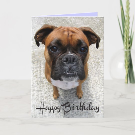 Boxer Puppy Dog Happy Birthday Card - Verse | Zazzle.com