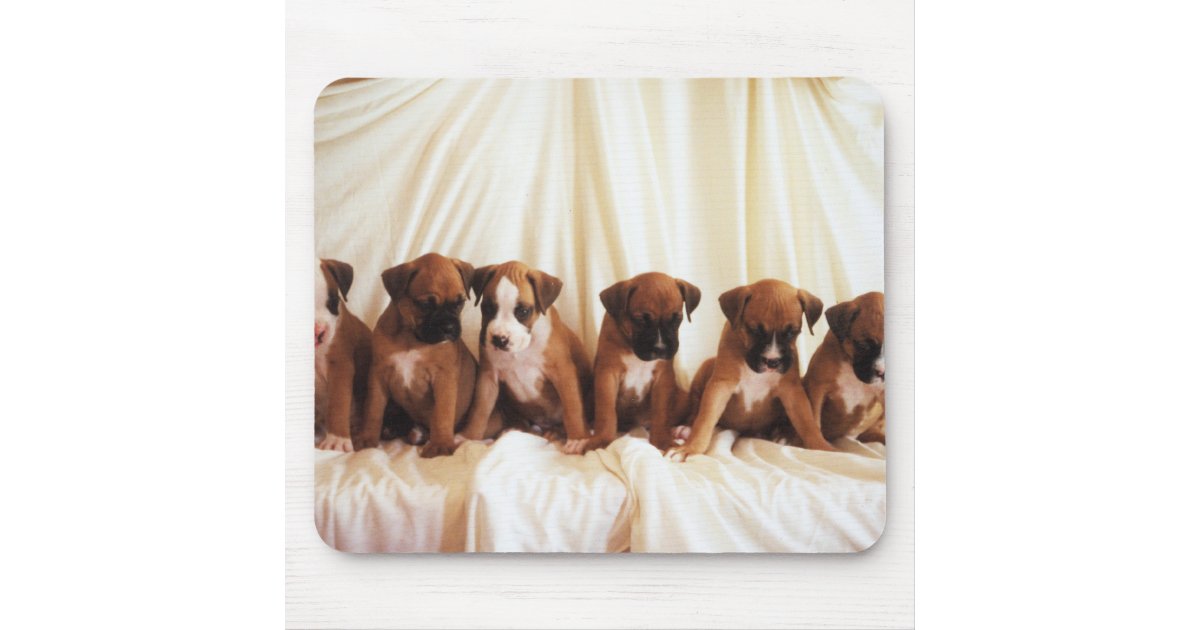 boxer puppy mouse pad | Zazzle