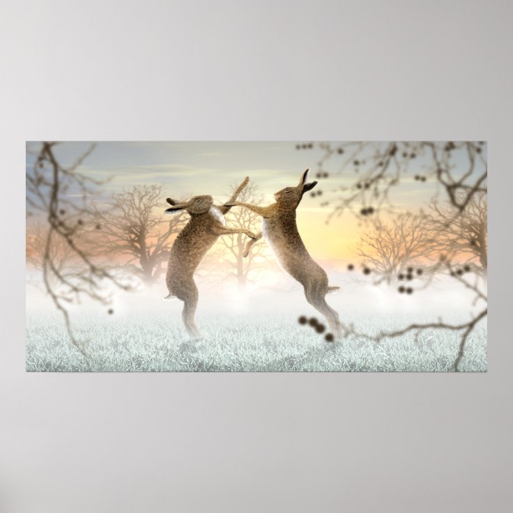 Boxing Hares Poster | Zazzle