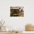 Boy Named Sue Poster | Zazzle