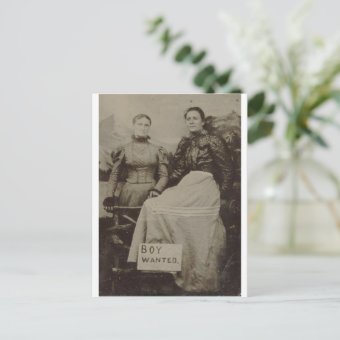 Boy Wanted Postcard | Zazzle