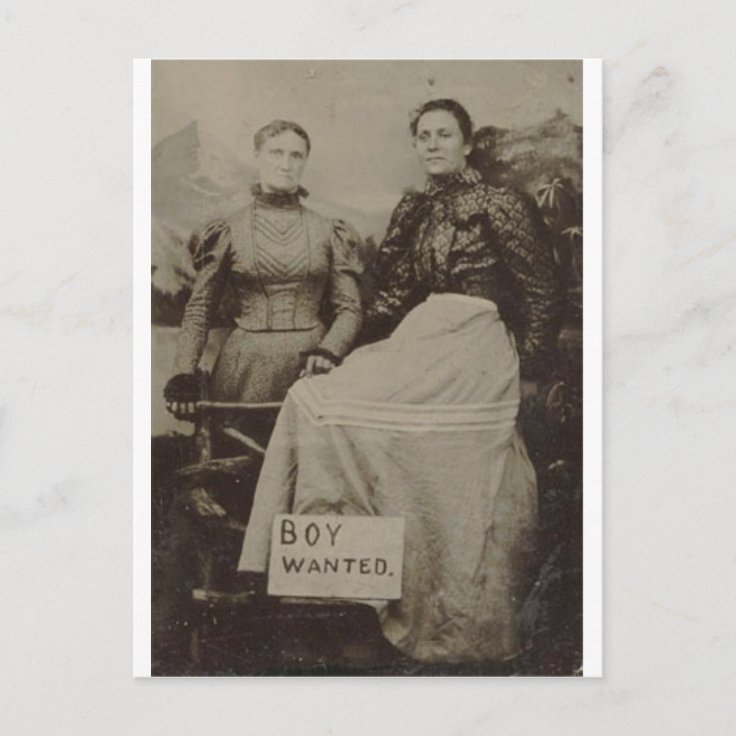 Boy Wanted Postcard | Zazzle