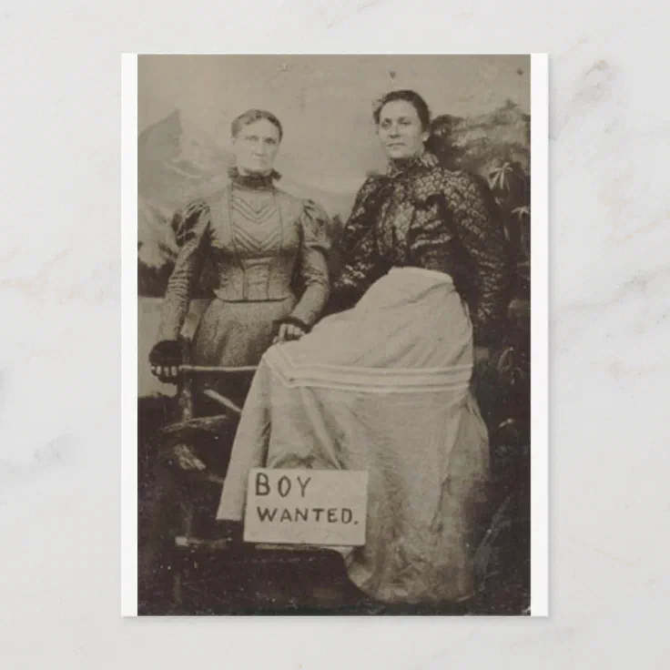 Boy Wanted Postcard | Zazzle