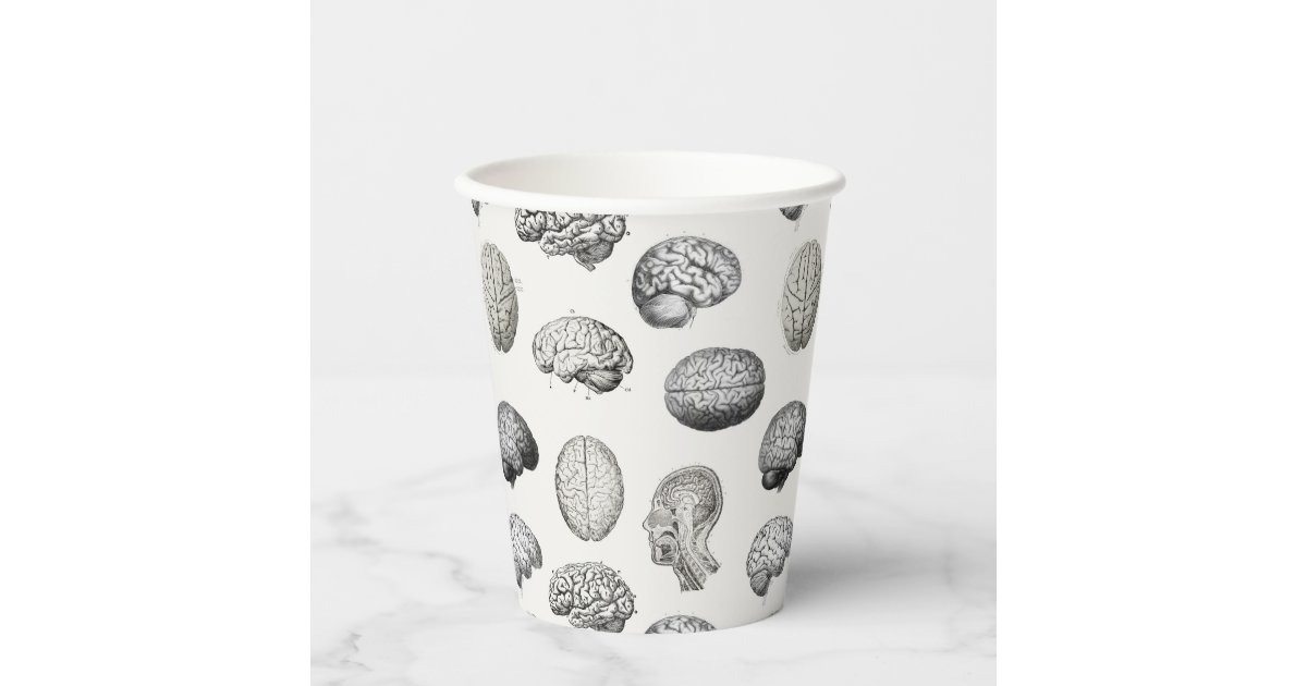 Brain Anatomy Biology Illustrations Paper Cups | Zazzle