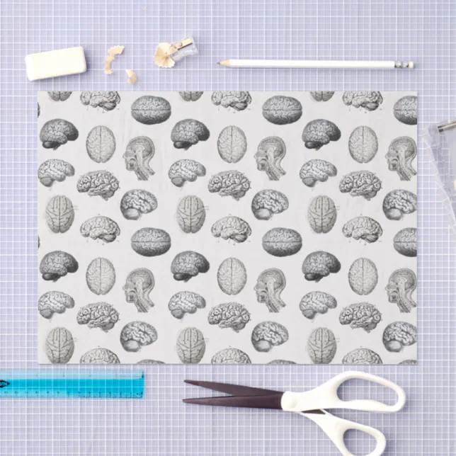 Brain Anatomy Biology Illustrations Tissue Paper | Zazzle