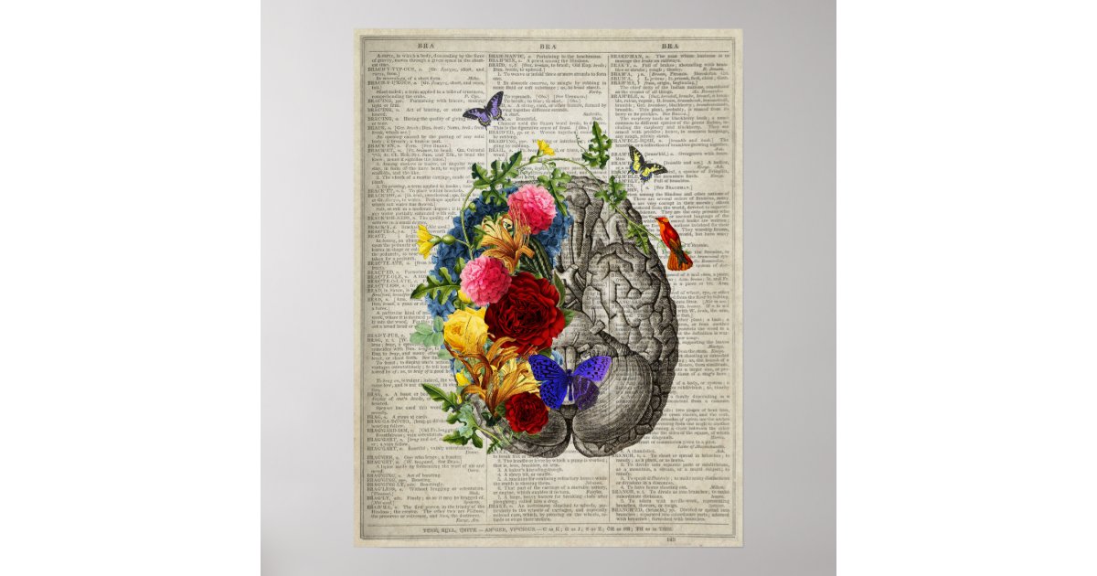 Brain Anatomy Flowers Hummingbird Butterflies Poster | Zazzle