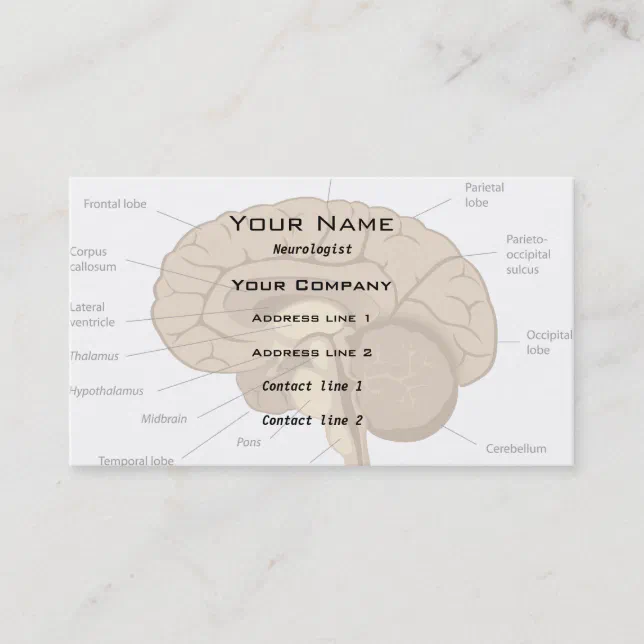Brain anatomy neurologist Business Card | Zazzle