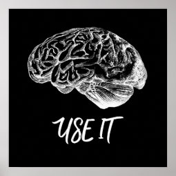 Brain Anatomy - Use It Poster | Zazzle