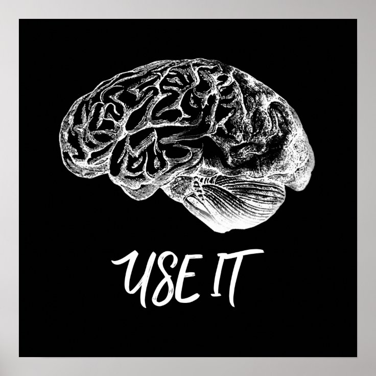 Brain Anatomy - Use It Poster | Zazzle