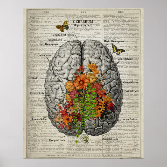 Brain Anatomy with Butterflies and Flowers Poster | Zazzle