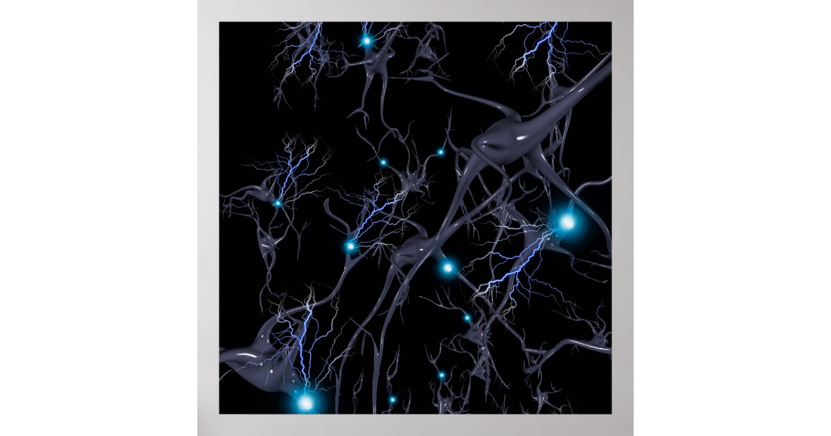 Brain cells. Neurons Poster | Zazzle
