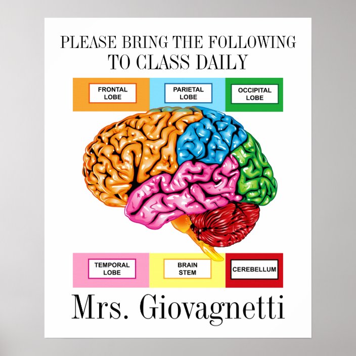 Brain Humor Teacher Poster | Zazzle.com