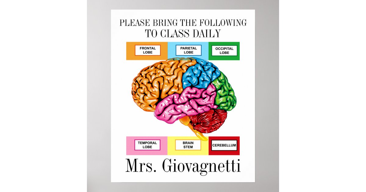 Brain Humor Teacher Poster | Zazzle