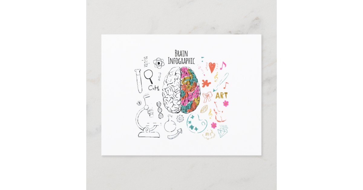 Brain Infographic Postcard | Zazzle