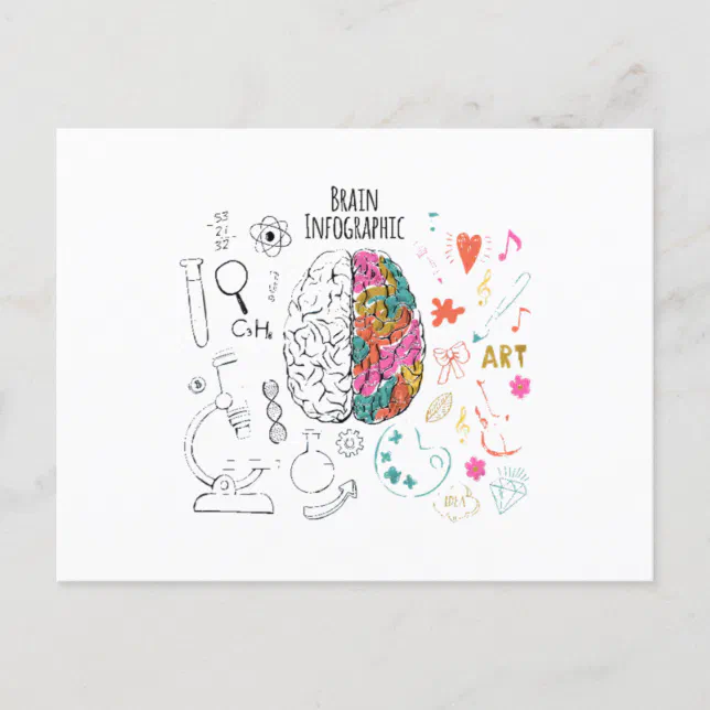 Brain Infographic Postcard | Zazzle