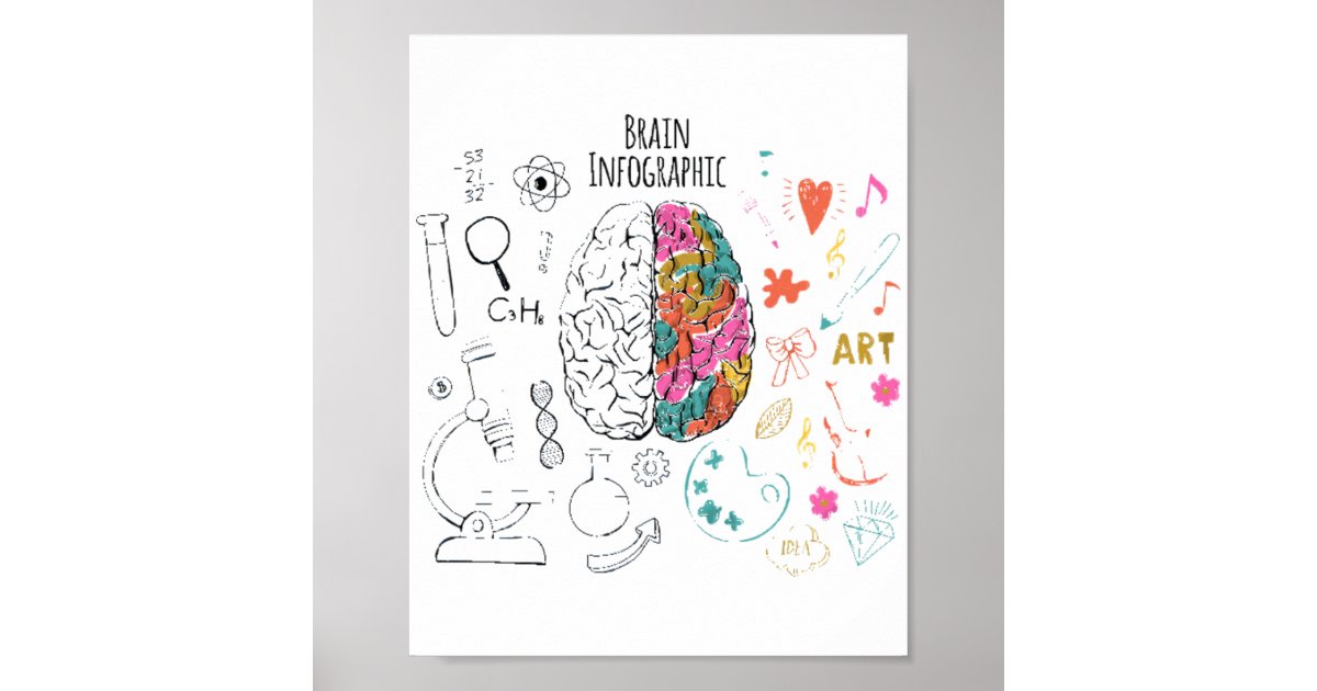 Brain Infographic Poster | Zazzle