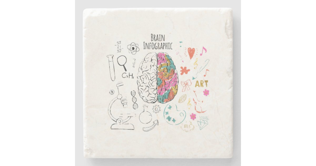 Brain Infographic Stone Coaster | Zazzle