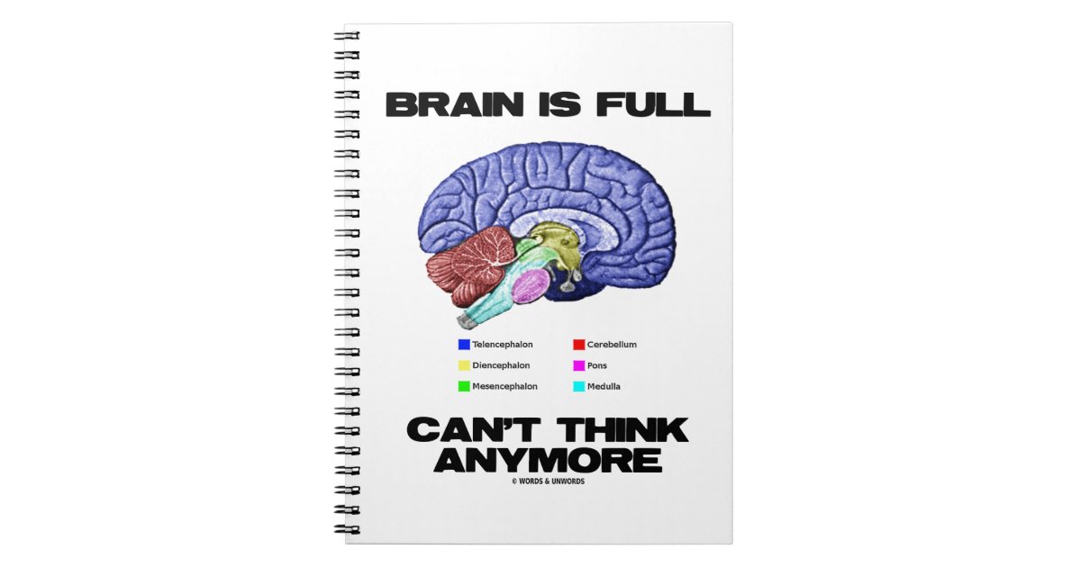 Brain Is Full Can't Think Anymore (Brain Anatomy) Notebook | Zazzle