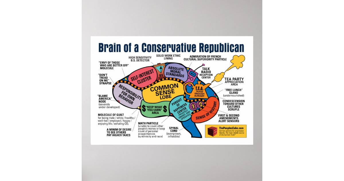 Brain Map - Capitalist Republican Poster | Zazzle