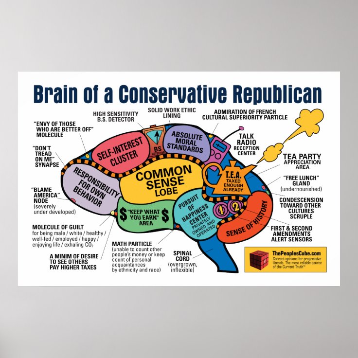 Brain Map - Capitalist Republican Poster | Zazzle