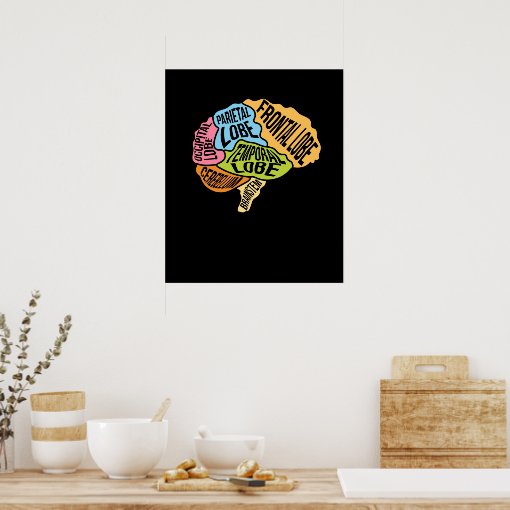 Brain Parts Surgery Doctor Neurology Surgeon Graph Poster | Zazzle
