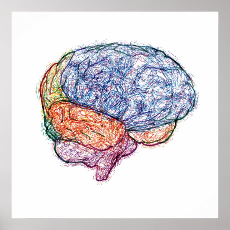 brain poster | Zazzle