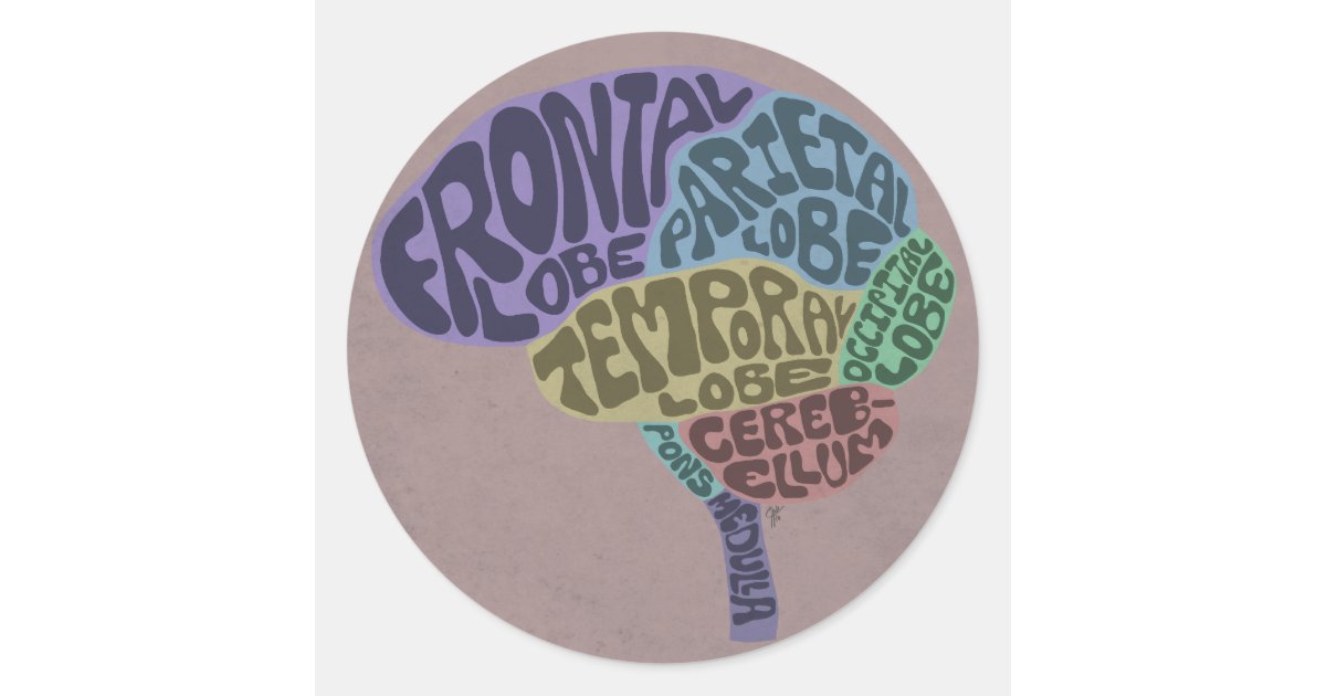 Brain Sticker | Zazzle